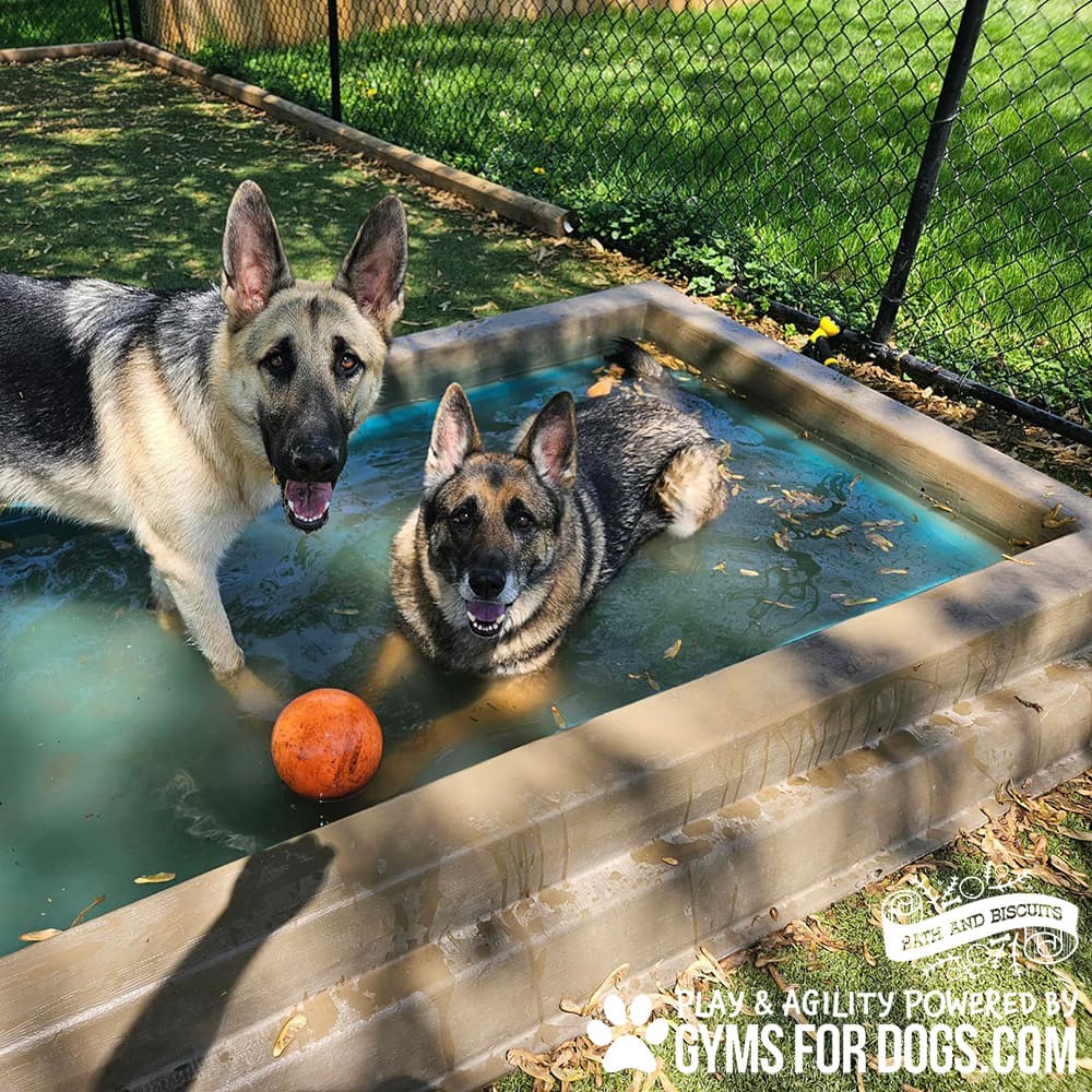 Enjoy Summertime Fun: Durable, Easy-Drain Dog Splash Pool
