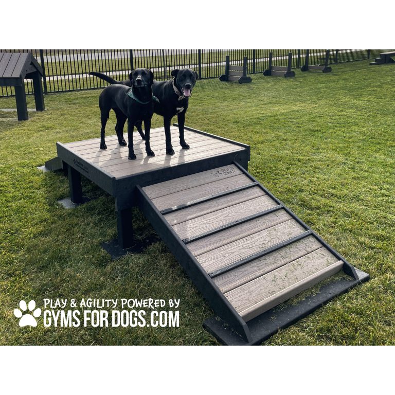 Dog Playground Equipment |Bridge Climb (S/M) 18" H Playful Incline
