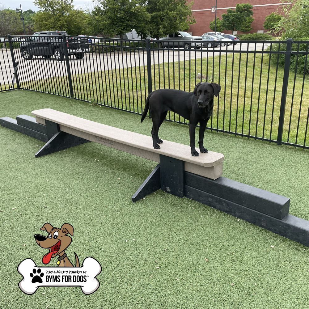 Dog Park Equipment |Jump Balance Beam