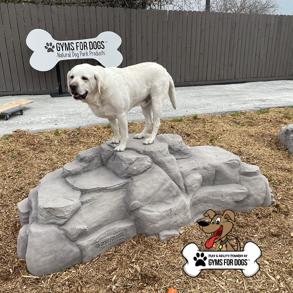 Create a Fun, Natural Climbing Area for Dogs and Dog Parks