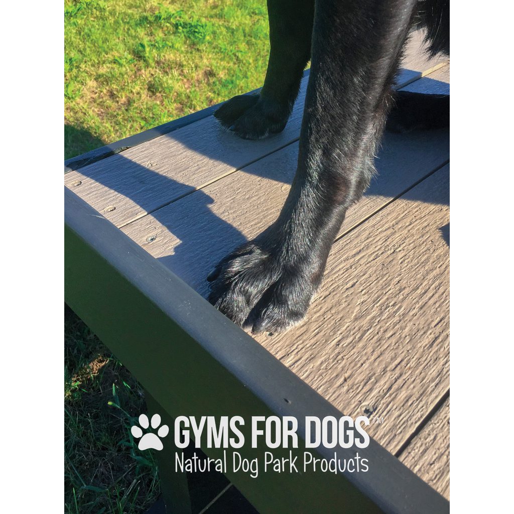 Dog Playground Equipment |Bridge Climb (L/X) 24" H Easy Incline