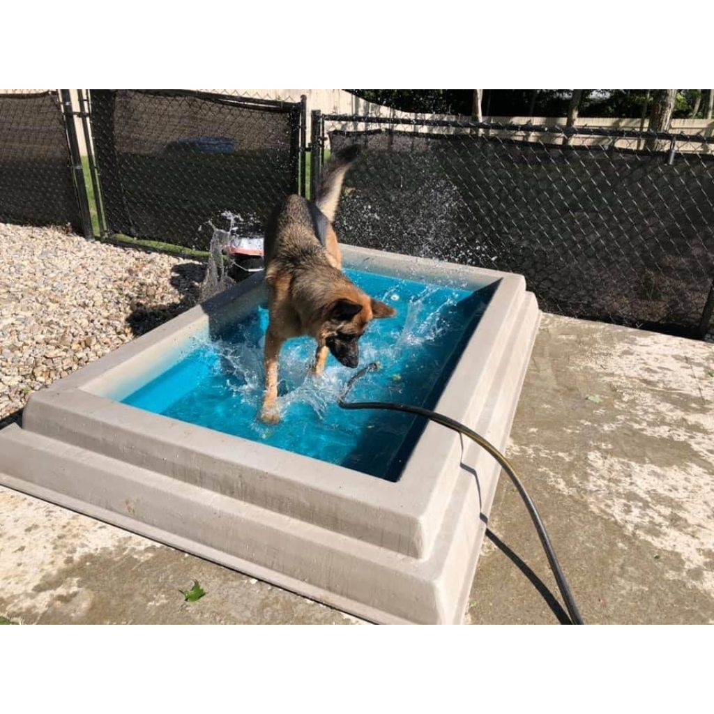 Dog Playground Equipment |Cool Dog Splash Pool