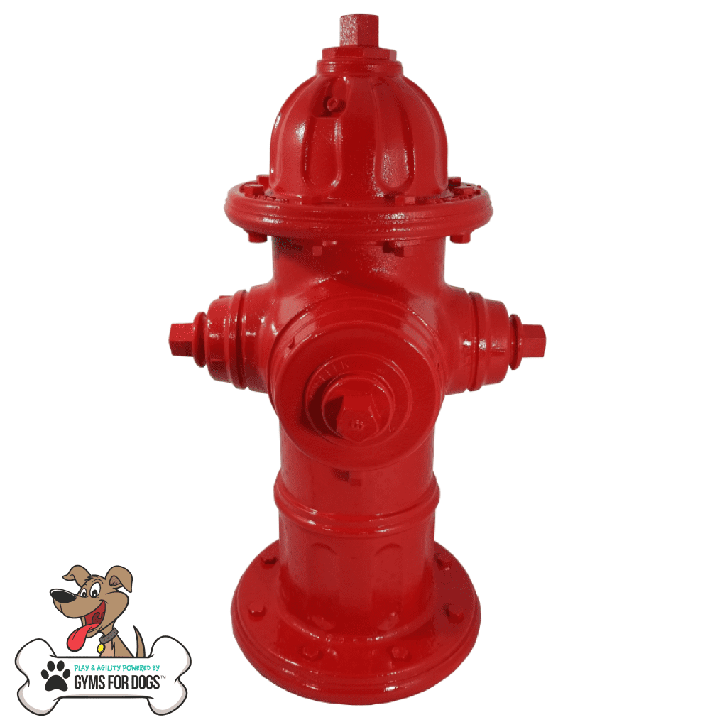 Fiberglass Fire Hydrant - Gyms For Dogs