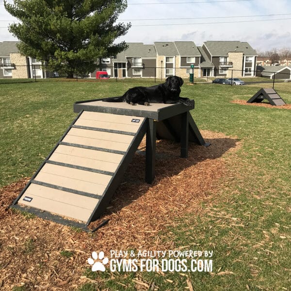 Boost Your Dog's Fitness: Multi-Functional Incline Platform