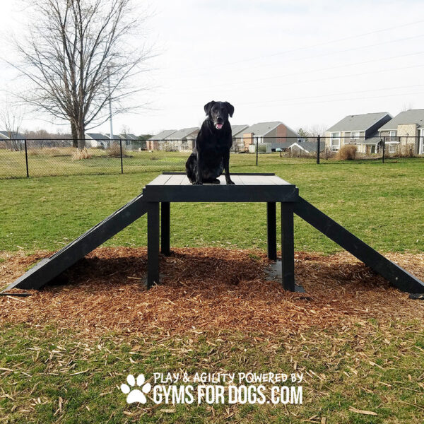 Boost Your Dog's Fitness: Multi-Functional Incline Platform