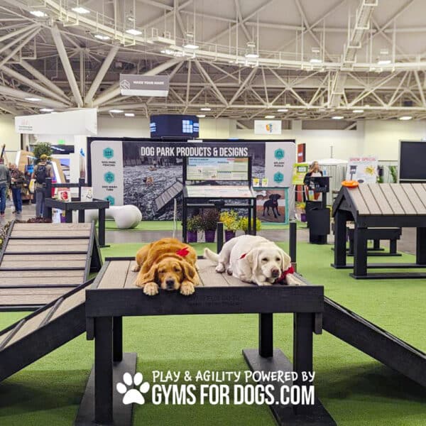 Boost Your Dog's Fitness with Agility Incline Platforms