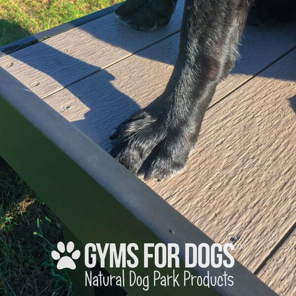 Boost Your Dog's Fitness with Agility Incline Platforms