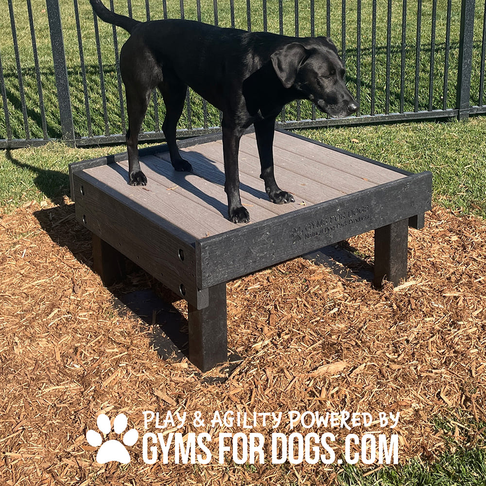 Dog Agility Equipment | Playgrounds For Dogs | Training Platform (S/M)