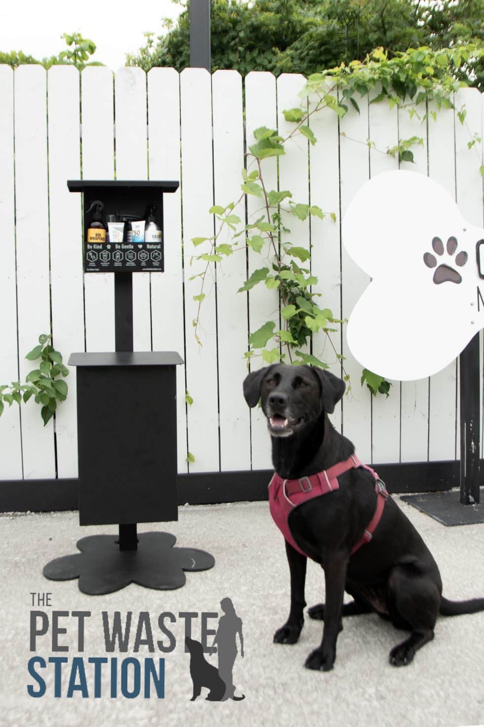 Gyms For Dogs: Dog Park Equipment | Dog Agility Equipment