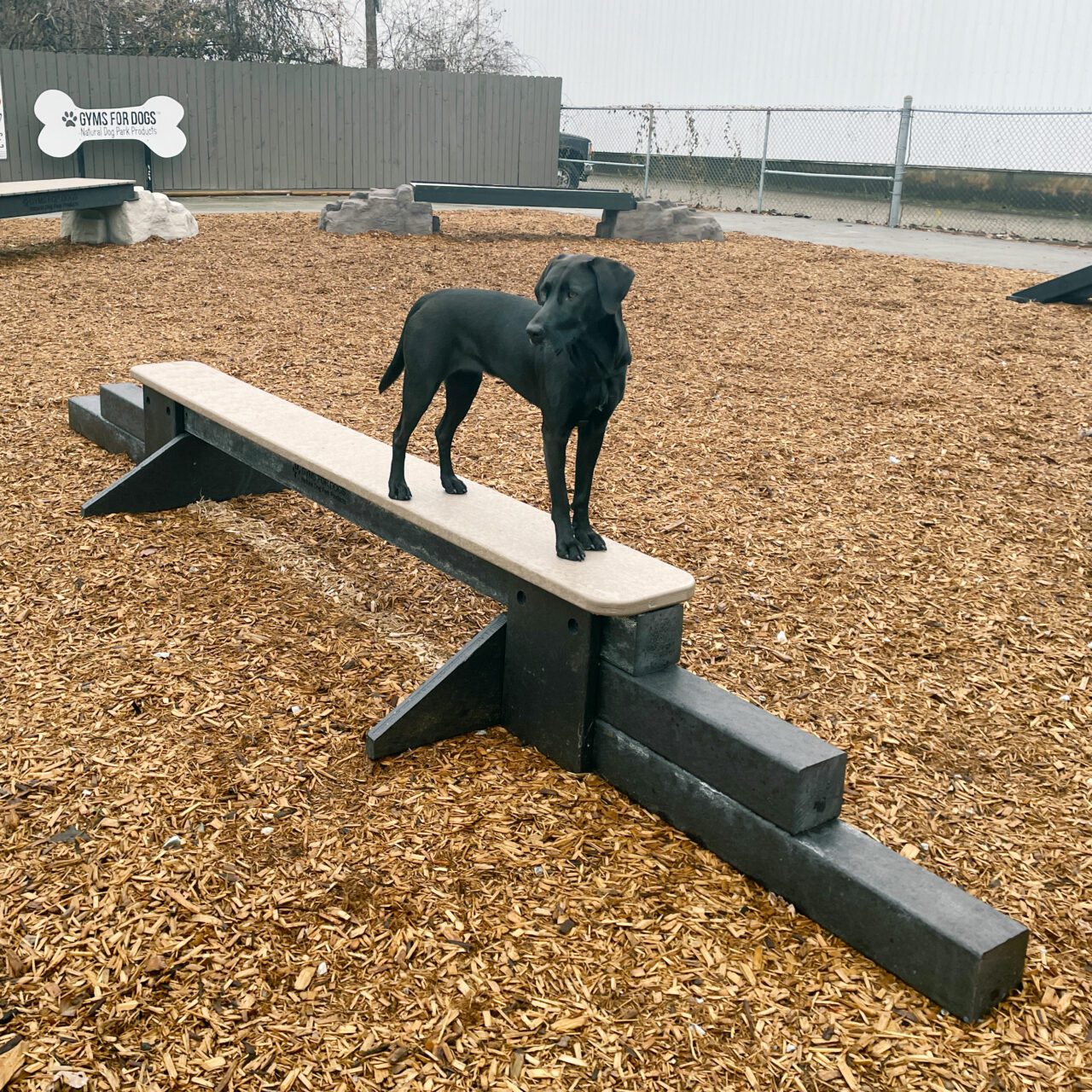 Dog Playground Equipment | Dog Park Products | Gyms For Dogs