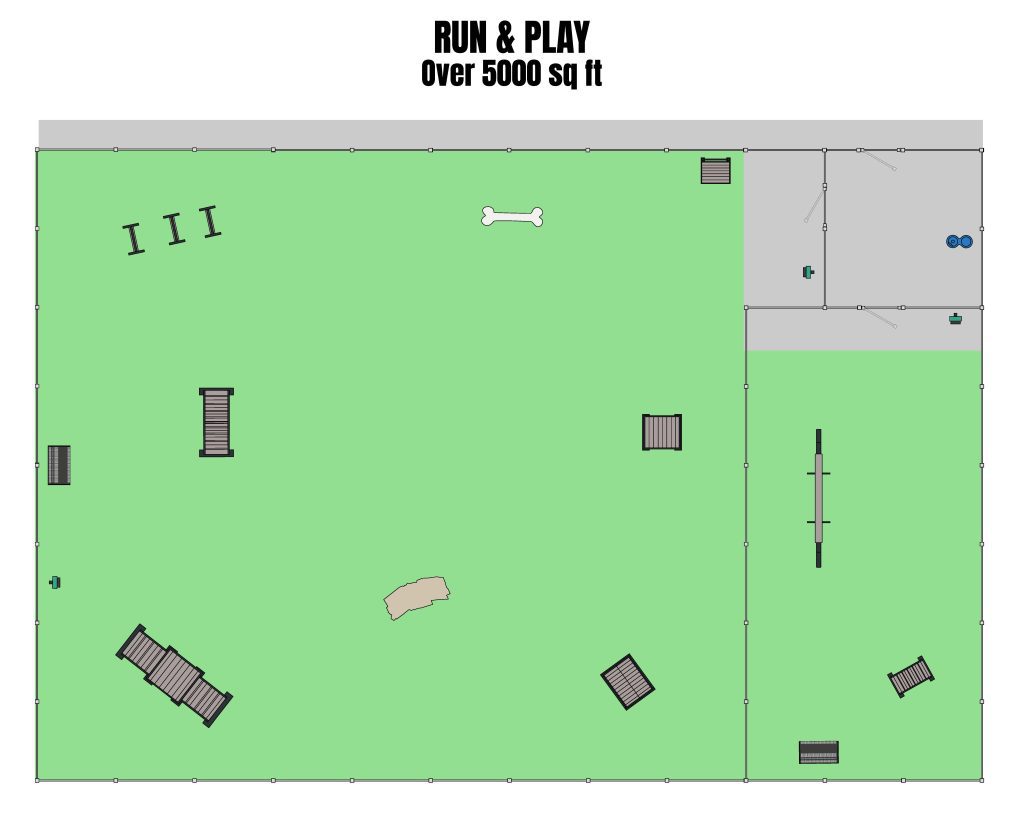 Run & Play - Gyms For Dogs