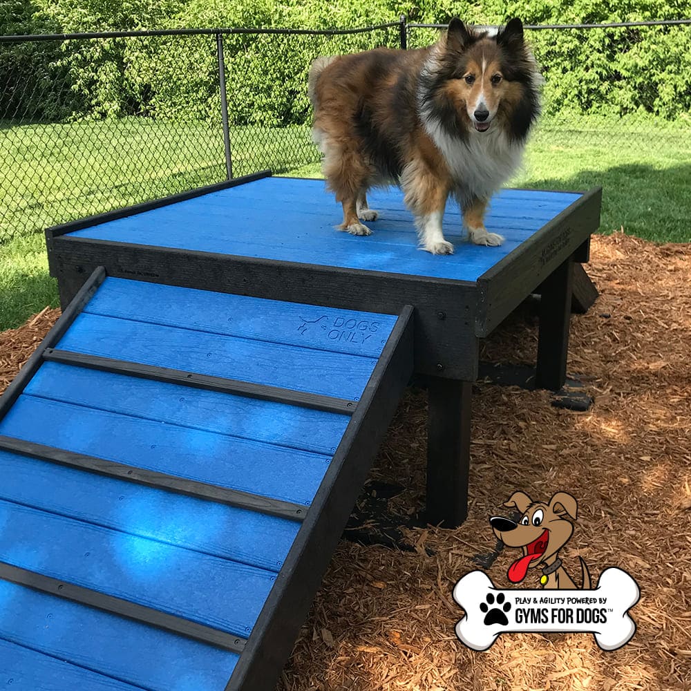 Dog Park Equipment | Bridge Climb (L/X) – 20 Incline Easy, 24”