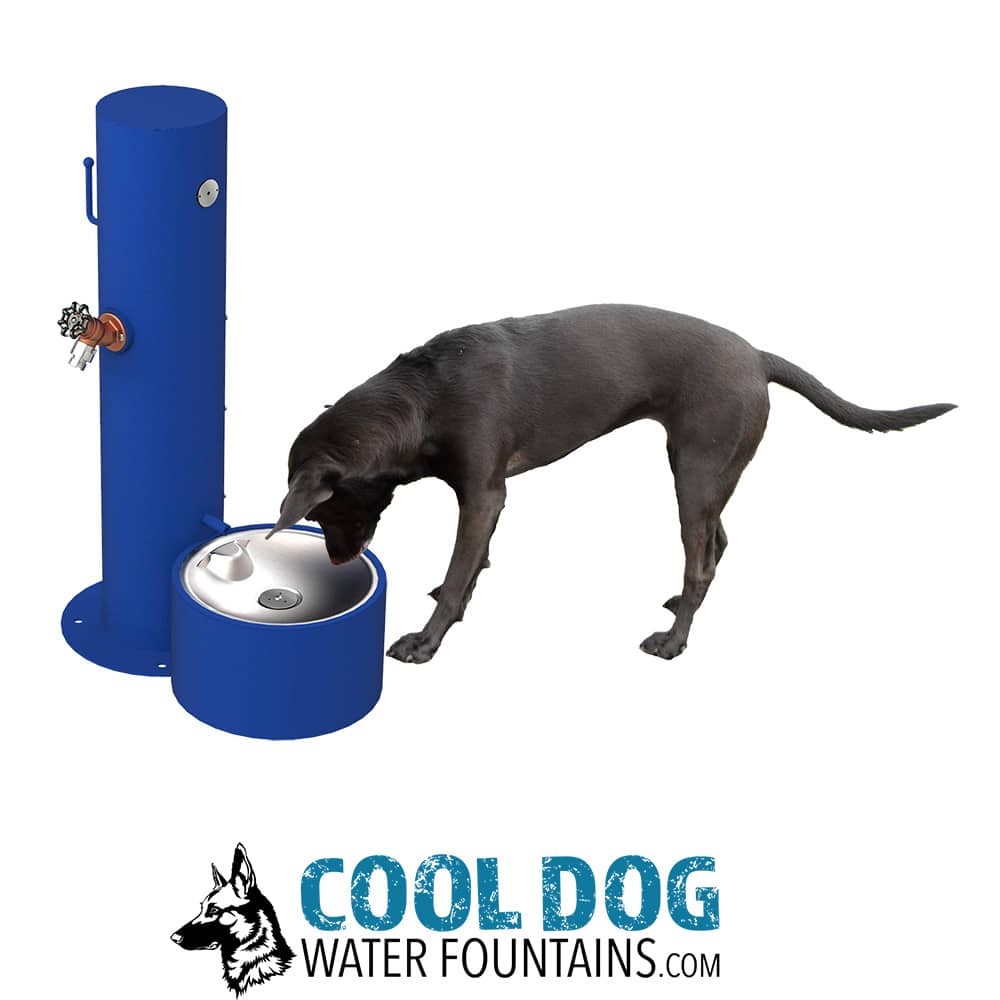 Cool Dog Water Fountains: Durable & Perfect for Outdoor Play