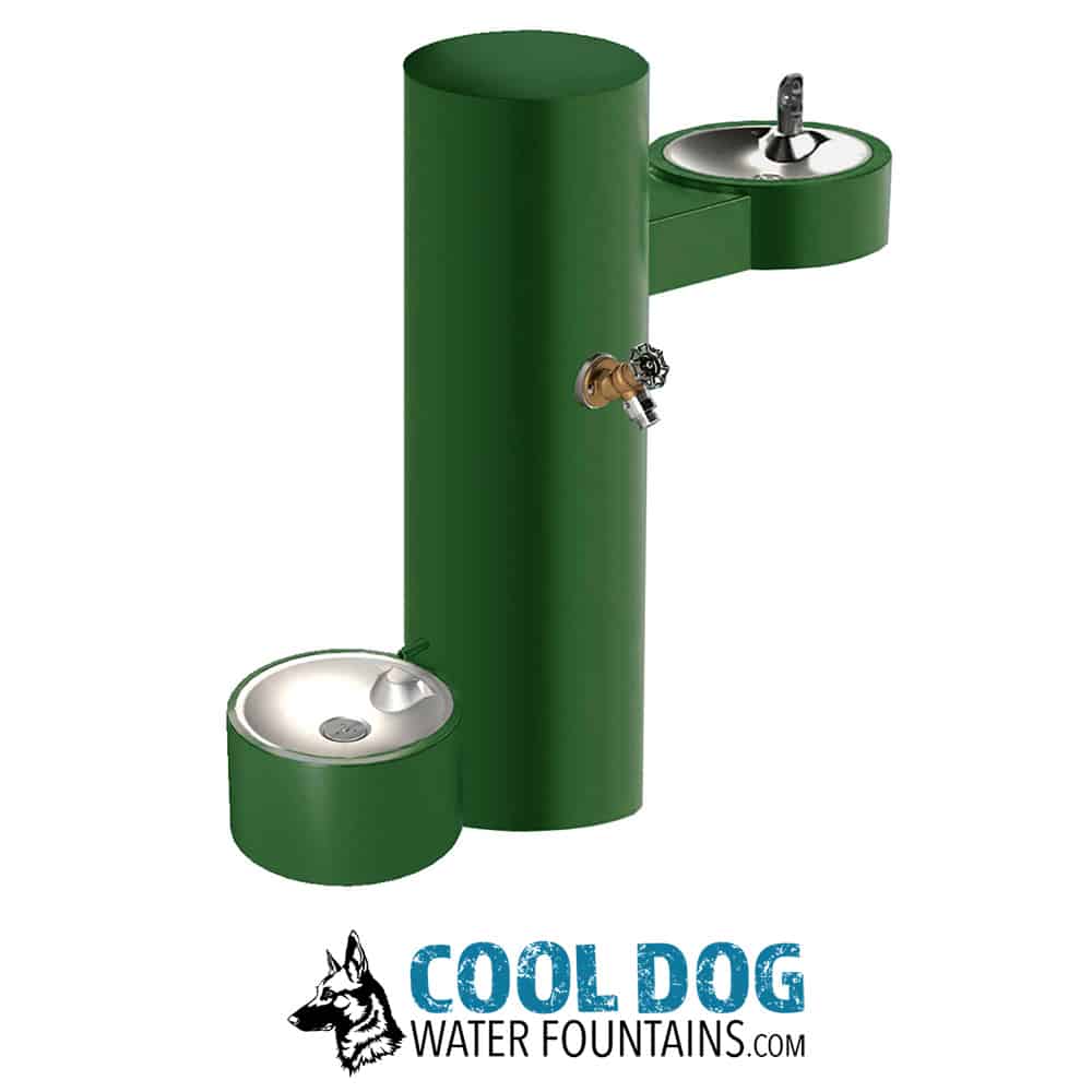 Hydrate Your Dog Safely with the Cool Dog Water Fountain