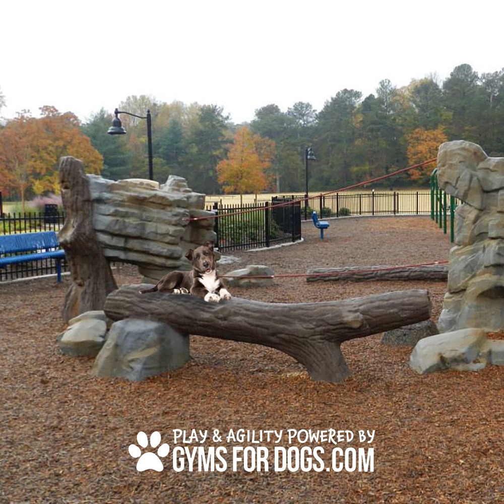 Agility Balance Log – Animal Agility Series - Gyms For Dogs