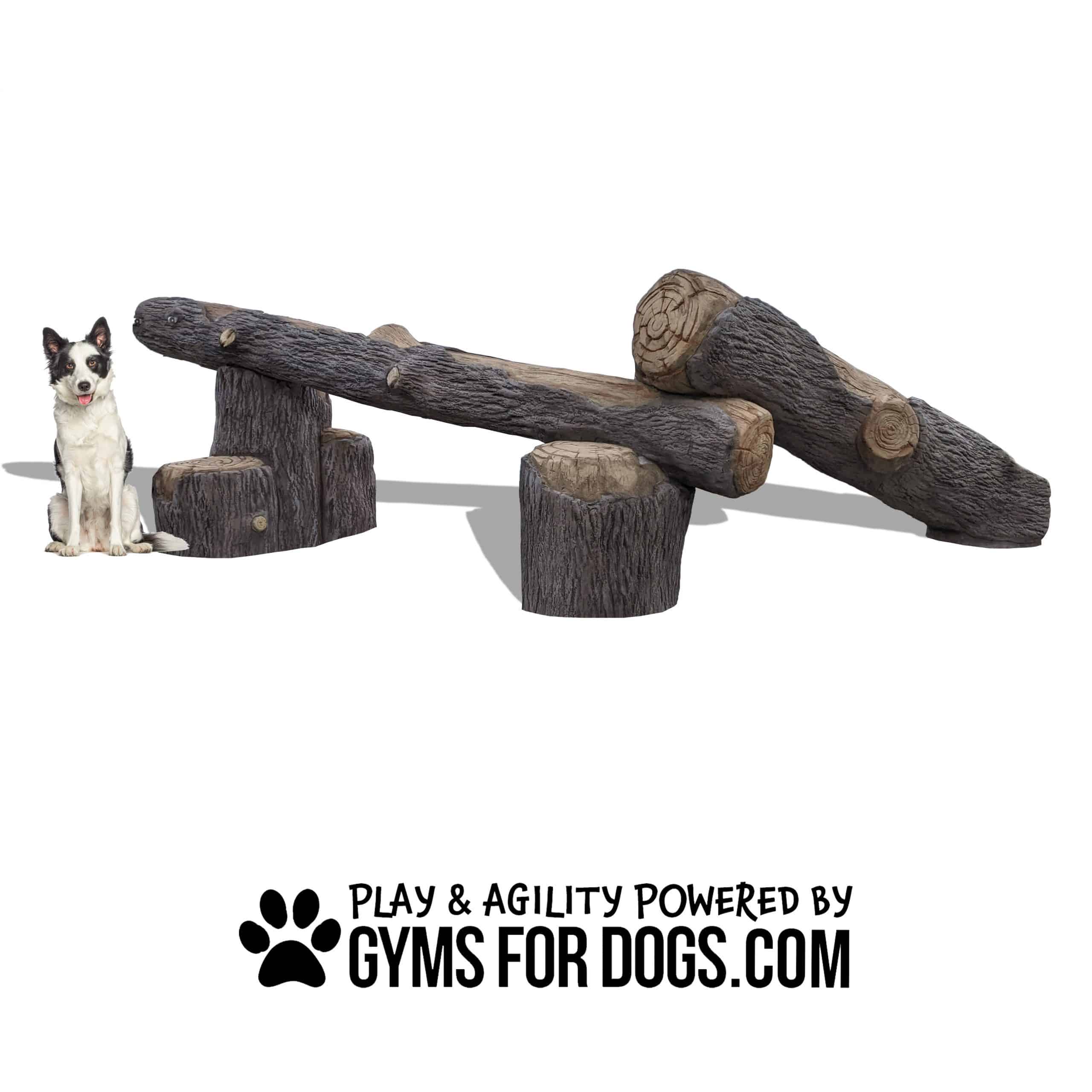 Enhance Your Pet's Skills with the Interactive Pack Logs