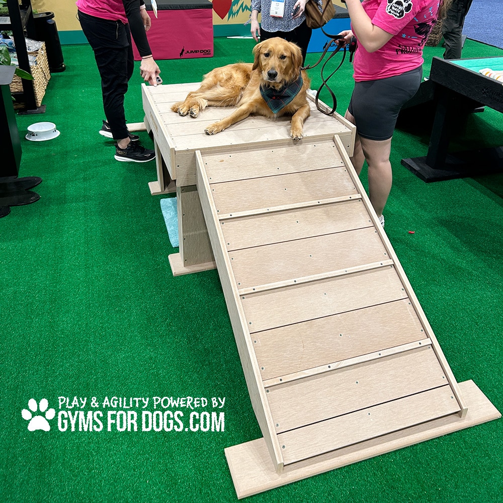 Create a Fun, Safe Dog Play Area with Boogie’s Bridge