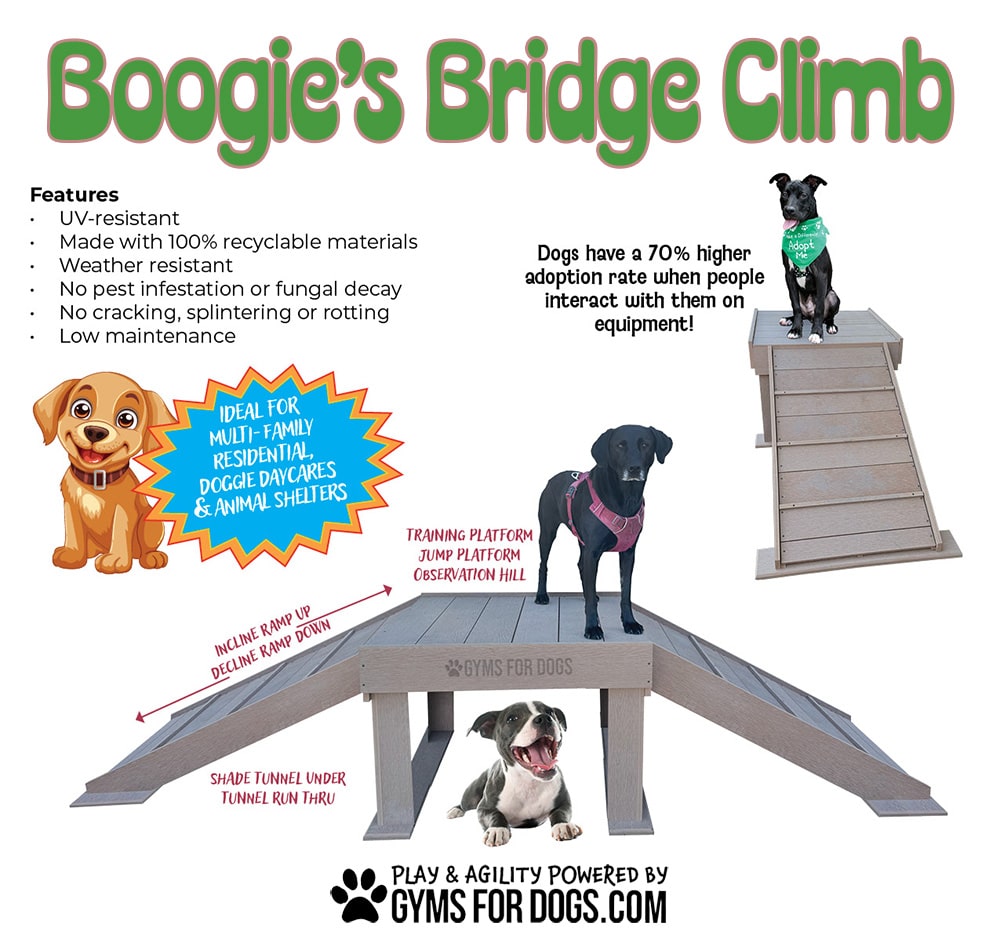 Create a Fun, Safe Dog Play Area with Boogie’s Bridge