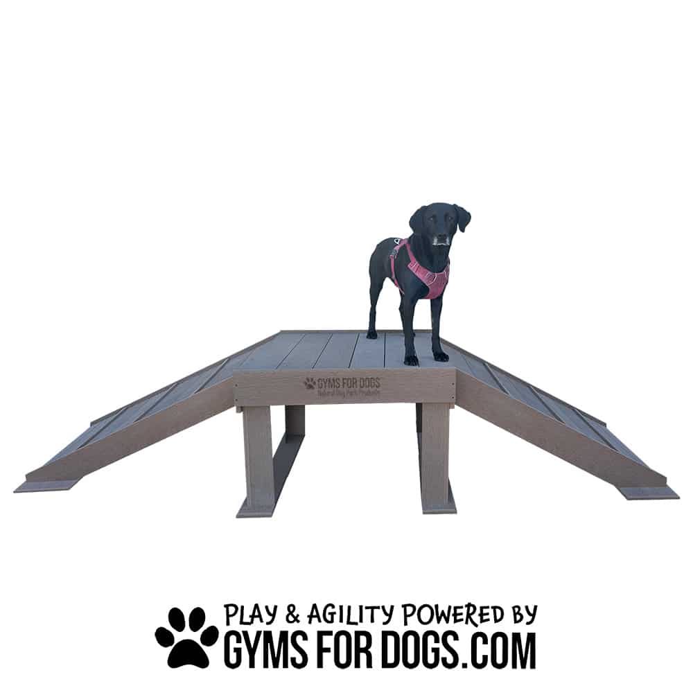 Create a Fun, Safe Dog Play Area with Boogie’s Bridge