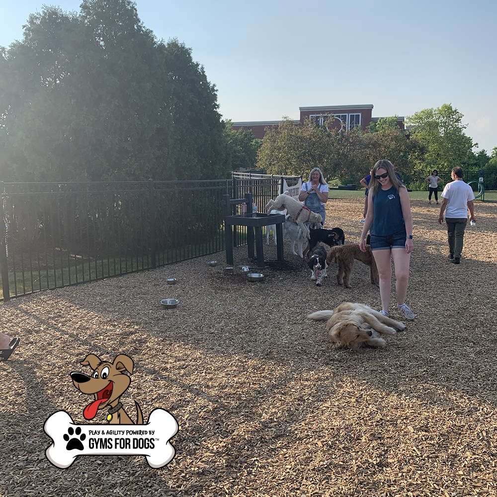 Ultimate Dog Park Accessory: The Dog Post for Cleaner Parks