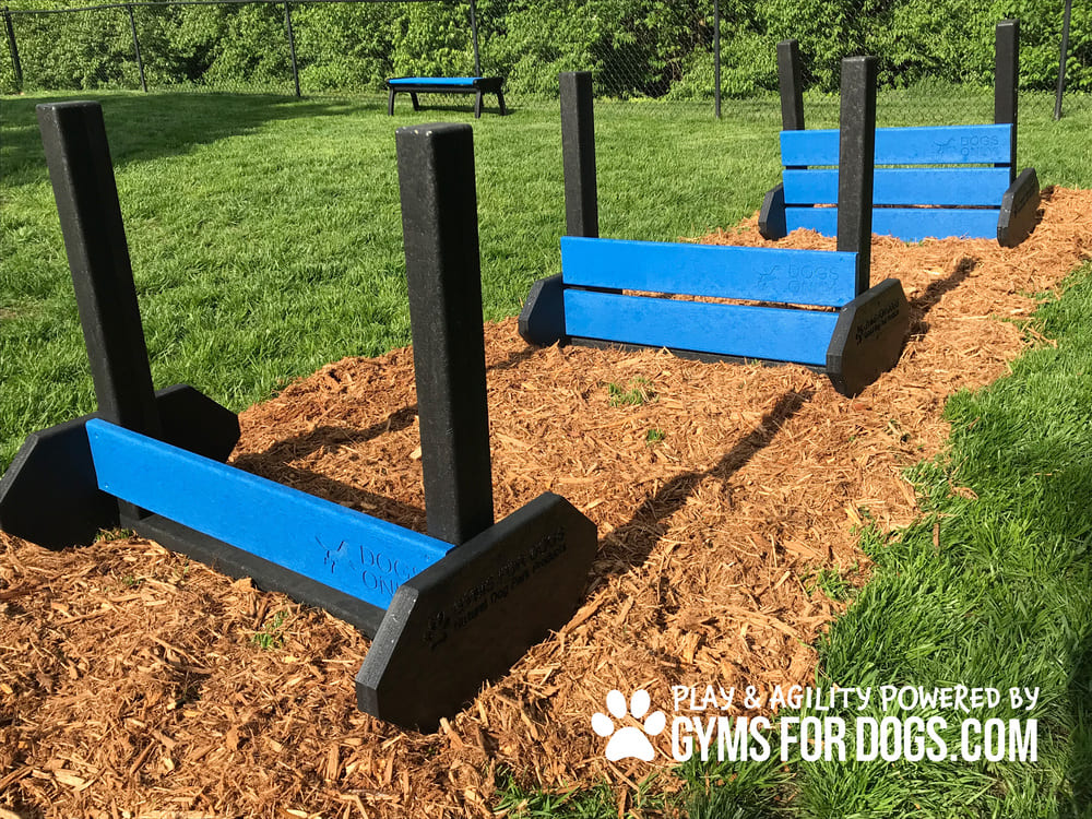 Dog Park Equipment |Jump Hurdles Set