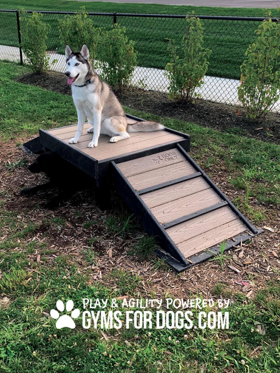 Dog Park Equipment | Bridge Climb (S/M) – 28 Incline Playful