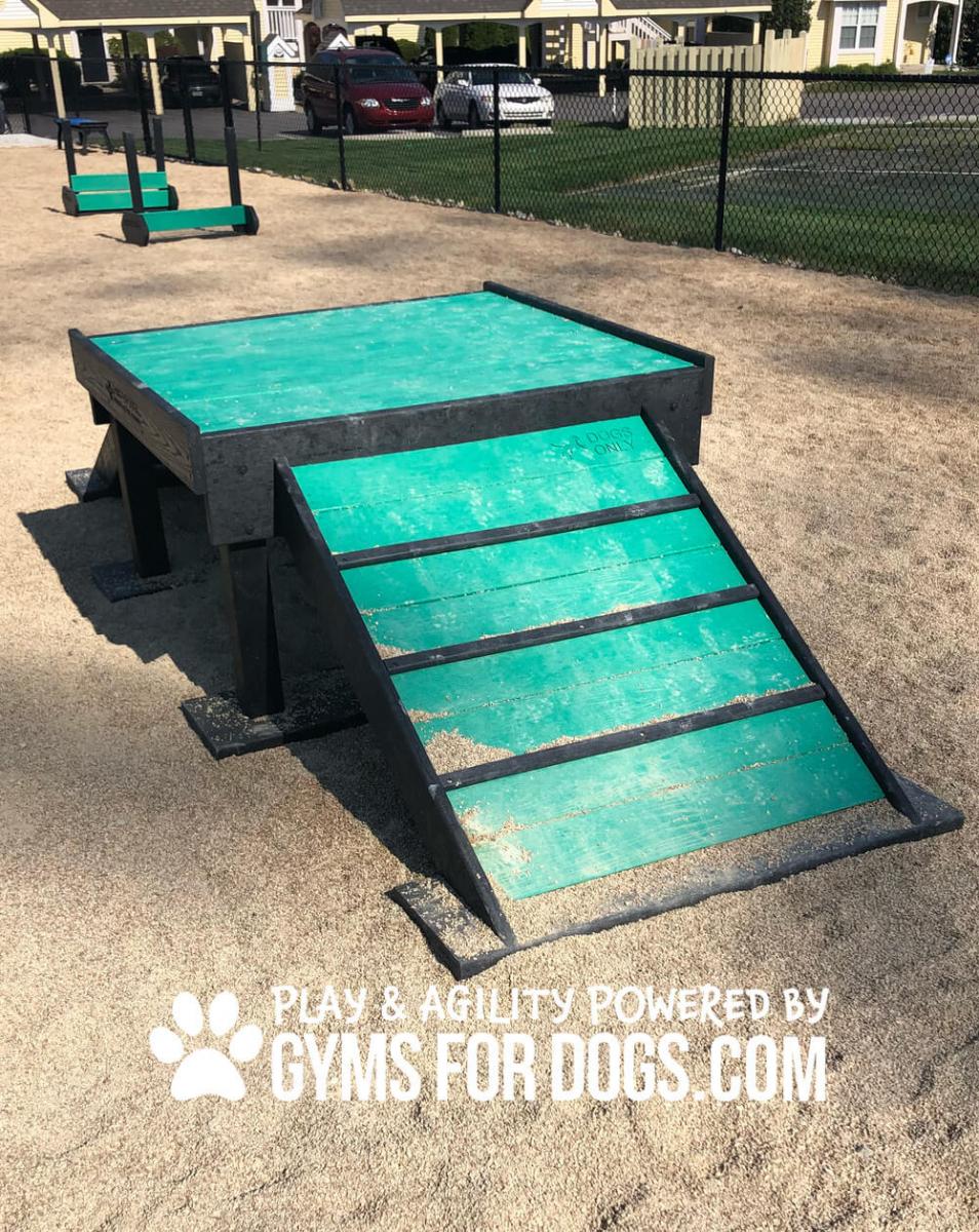 Dog Park Equipment | Bridge Climb (L/X) – 20 Incline Easy, 24”