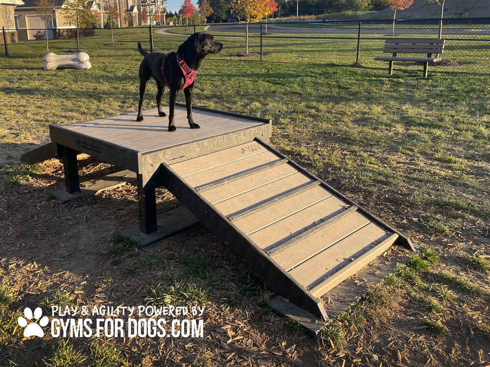 Dog Park Equipment | Bridge Climb (L/X) – 20 Incline Easy, 24”