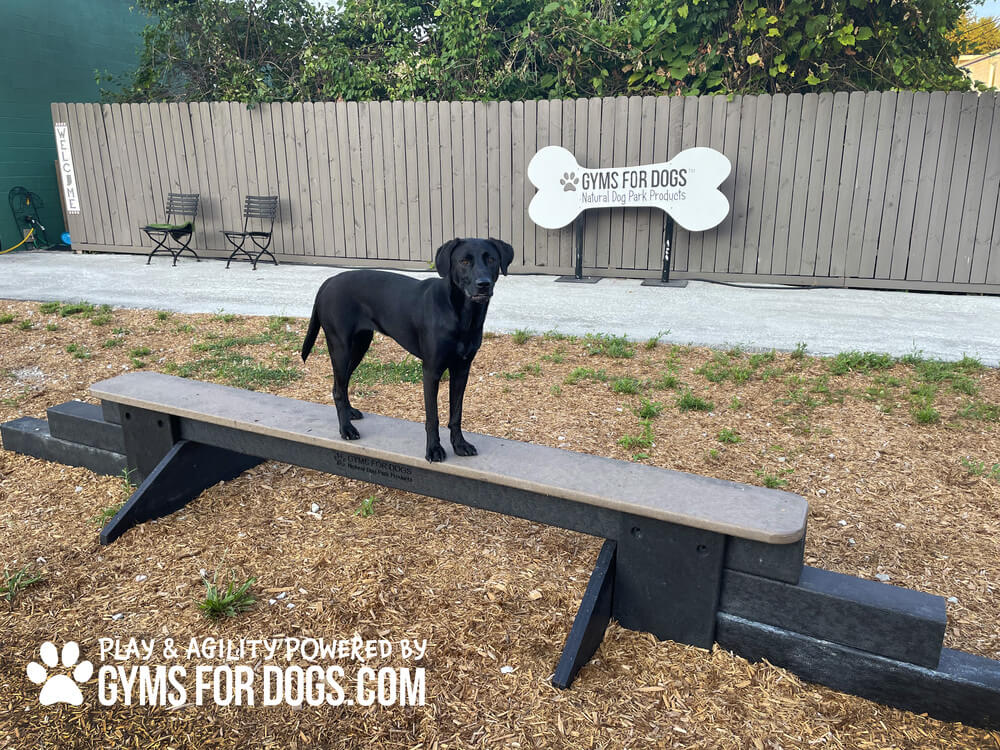 Dog Park Equipment |Jump Balance Beam